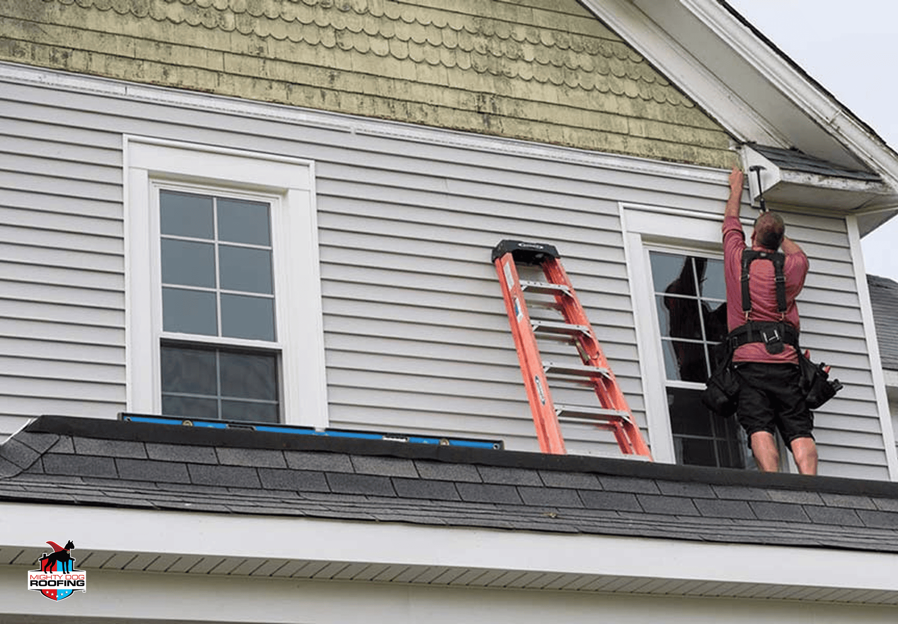 How to Know If Your Siding Needs Replacement | Mighty Dog Roofing